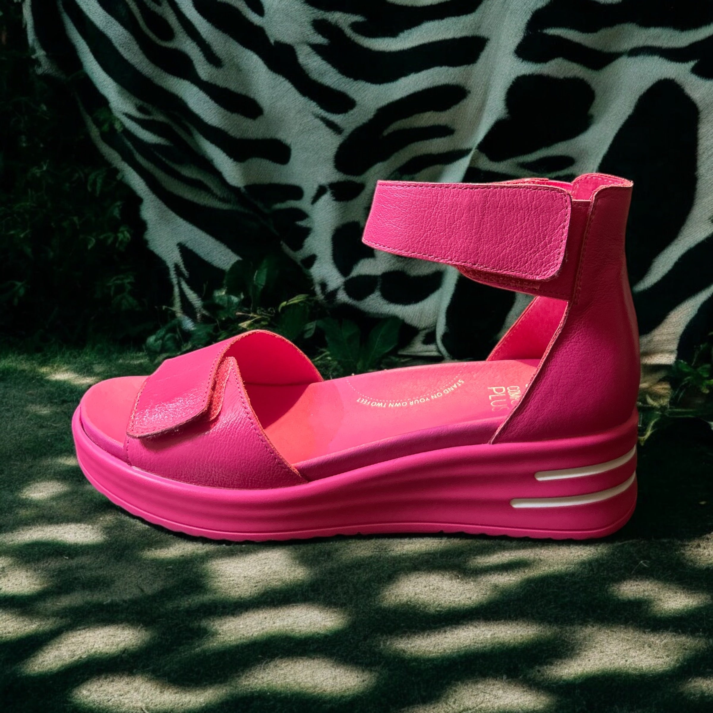 Sofio – Shoe Fashions Kenmore