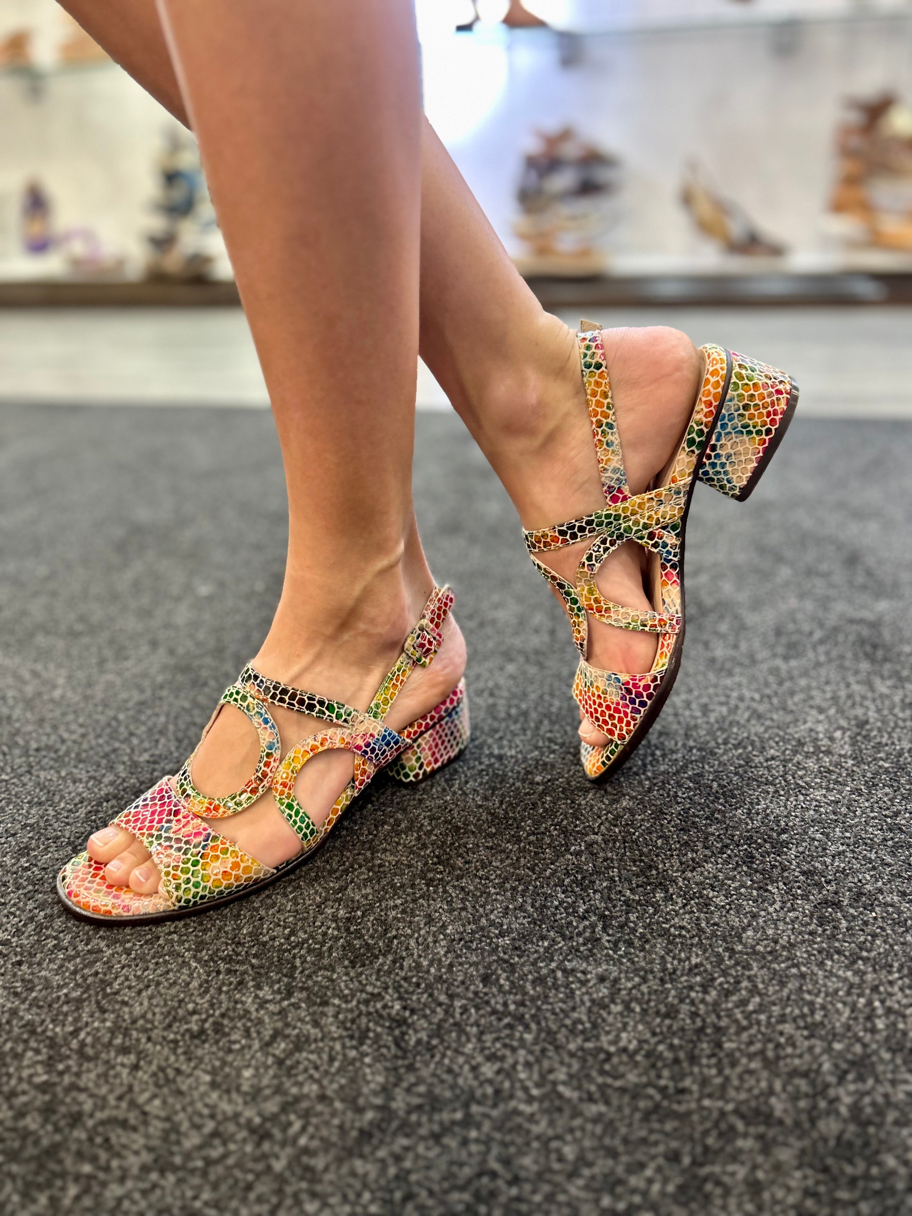 Dani – Shoe Fashions Kenmore